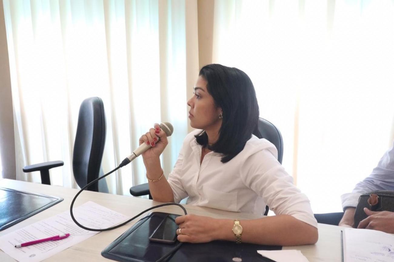 Comissão de Saúde da Alepa recebe o Secretário Dr. Alberto Beltrame - ALEPA